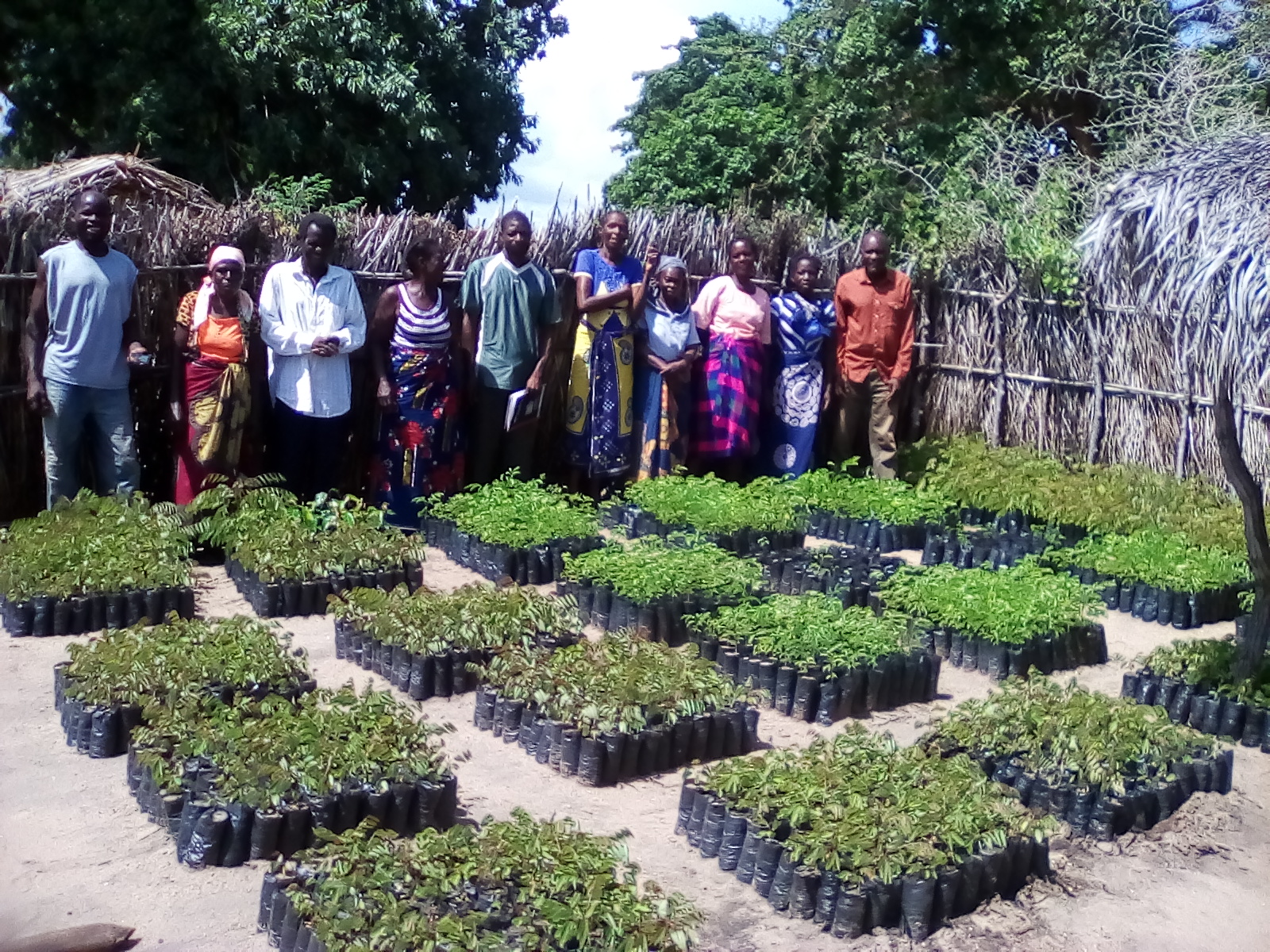 Communities in Chitipa and Karonga Districts Embark on Afforestation ...