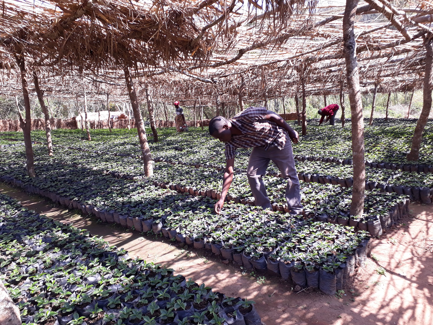 Bishop Mtumbuka Impressed with Progress of Work at Chipunga Farm ...