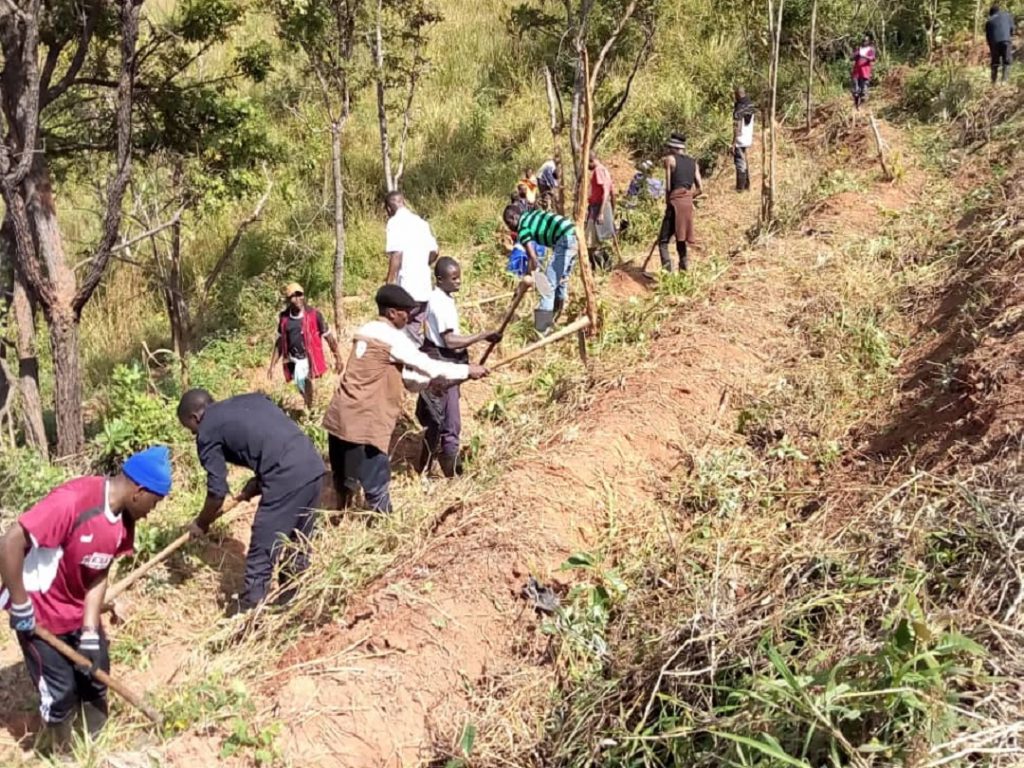 Karonga Diocese Seminarians Work at Chipunga Farm - Catholic Diocese of ...