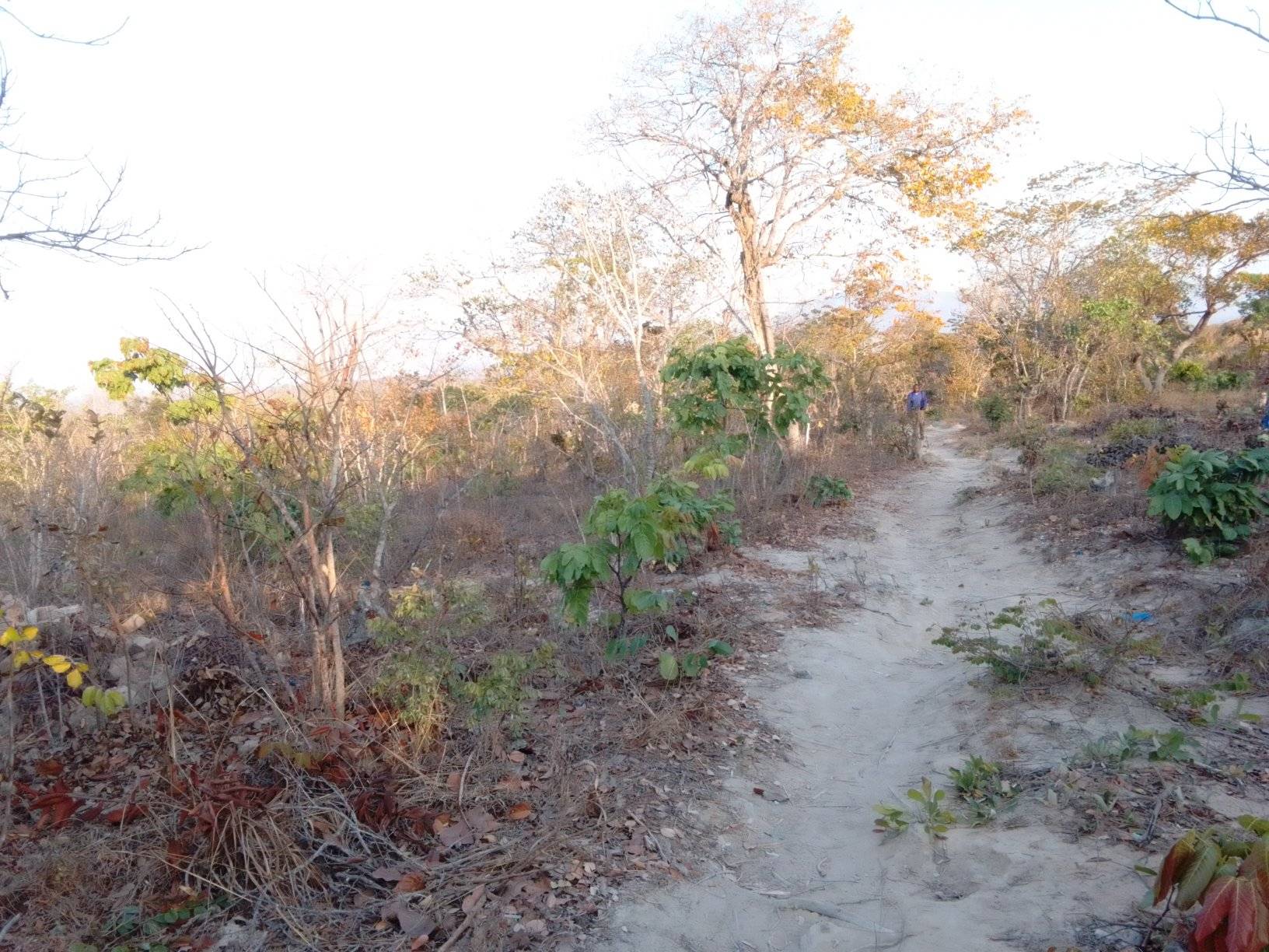 Karonga Diocese Receives 5 Hectares from Kopakopa for Community ...